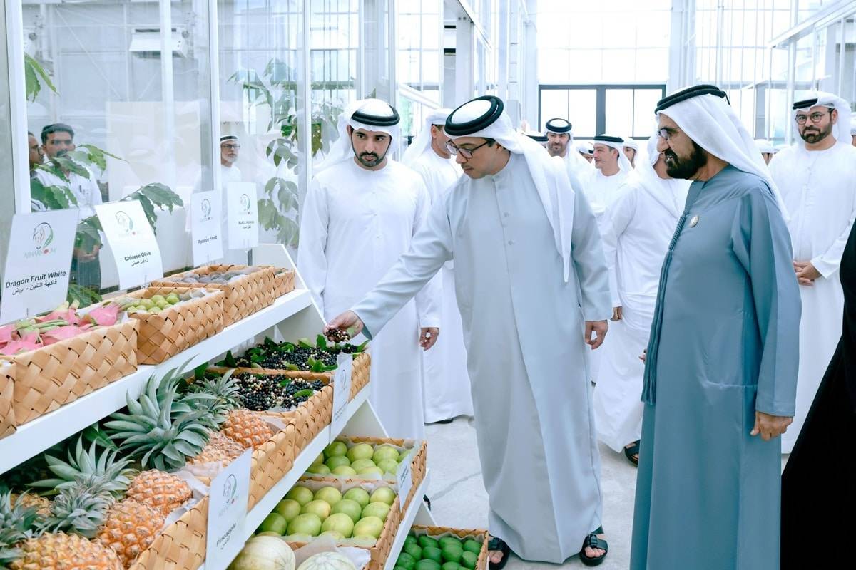 UAE Launches Bold New Agricultural Program to Boost Food Production